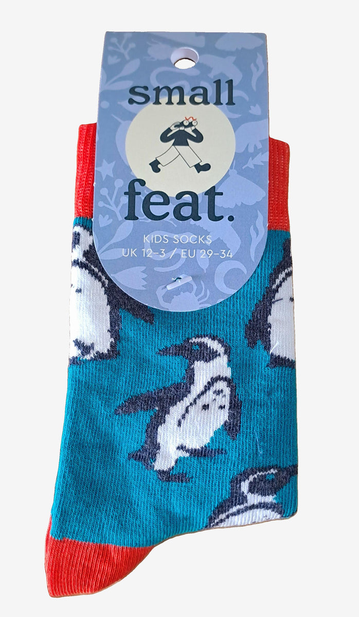 Pikkewyn Sokkies Kinders – Die Voriemôl